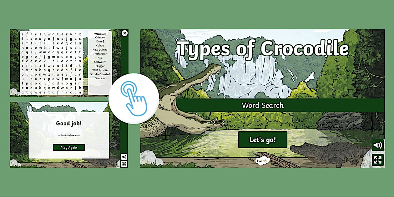 Types of Crocodile Word Search (teacher made) - Twinkl