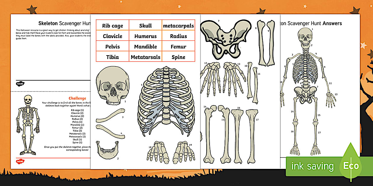 Skeleton Scavenger Hunt Activity Pack - Twinkl