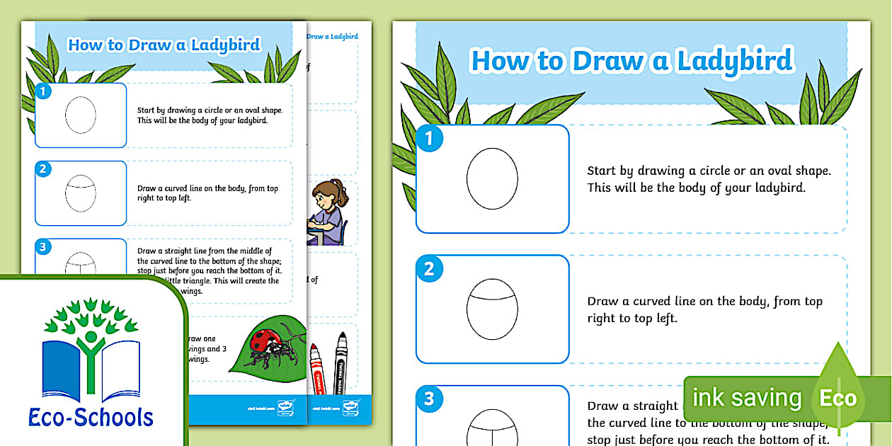 Eco-Schools NI: How to Draw a Ladybird (teacher made)