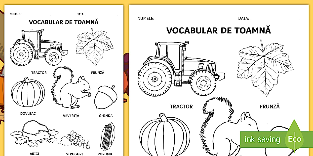 Toamna Fișă de colorat Cuvinte ilustrate (teacher made)