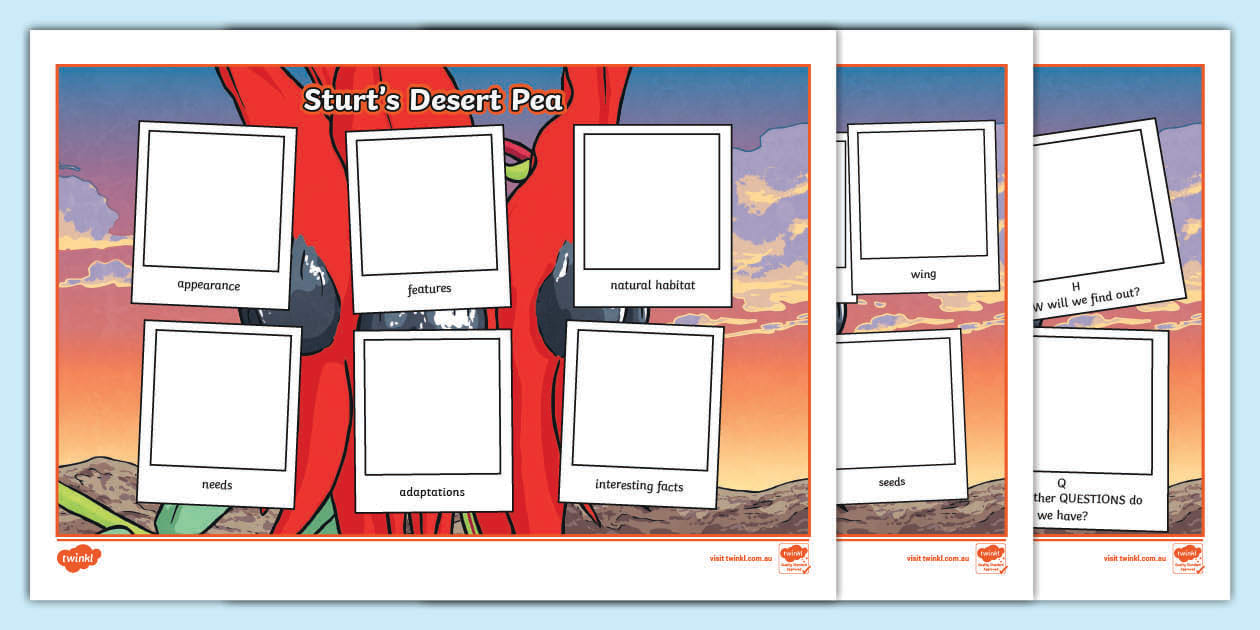 Sturt's Desert Pea Snapshots Writing Frames (teacher made)