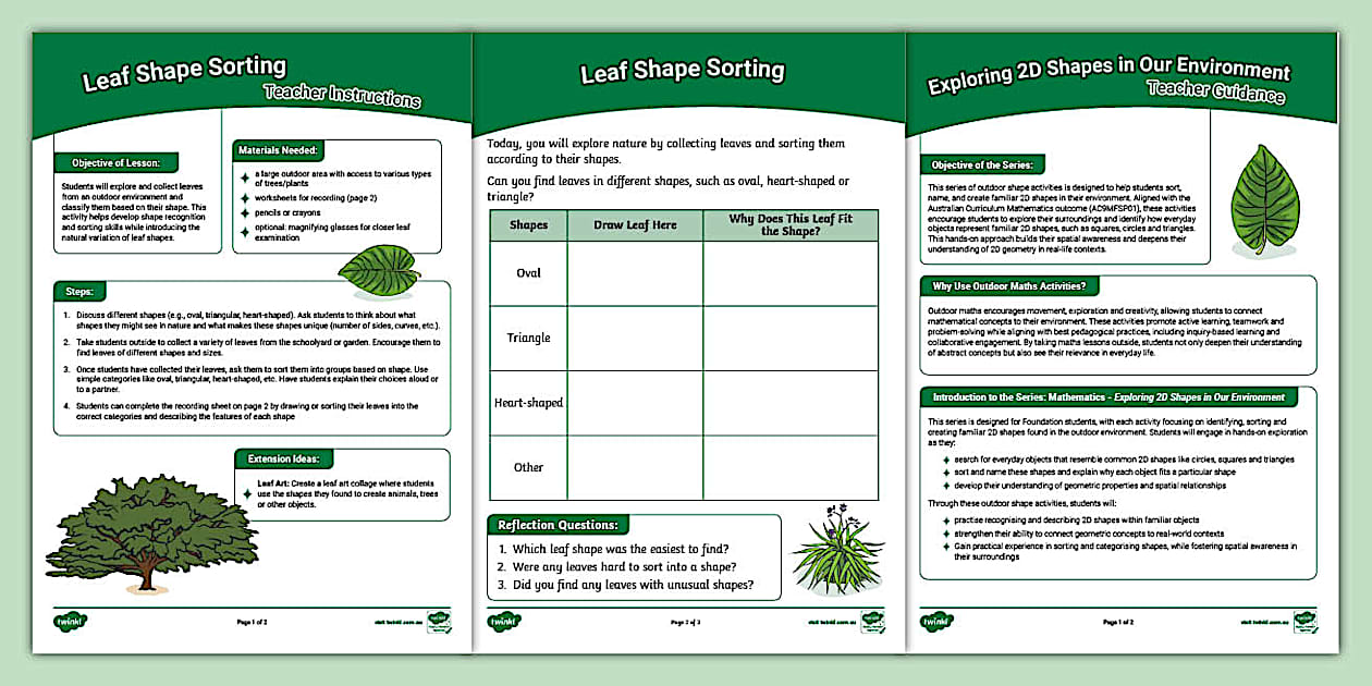 Outdoor Maths: Leaf Shape Sorting (Teacher-Made) - Twinkl