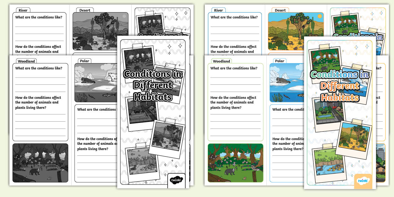Conditions in Different Habitats Leaflet Template - Twinkl