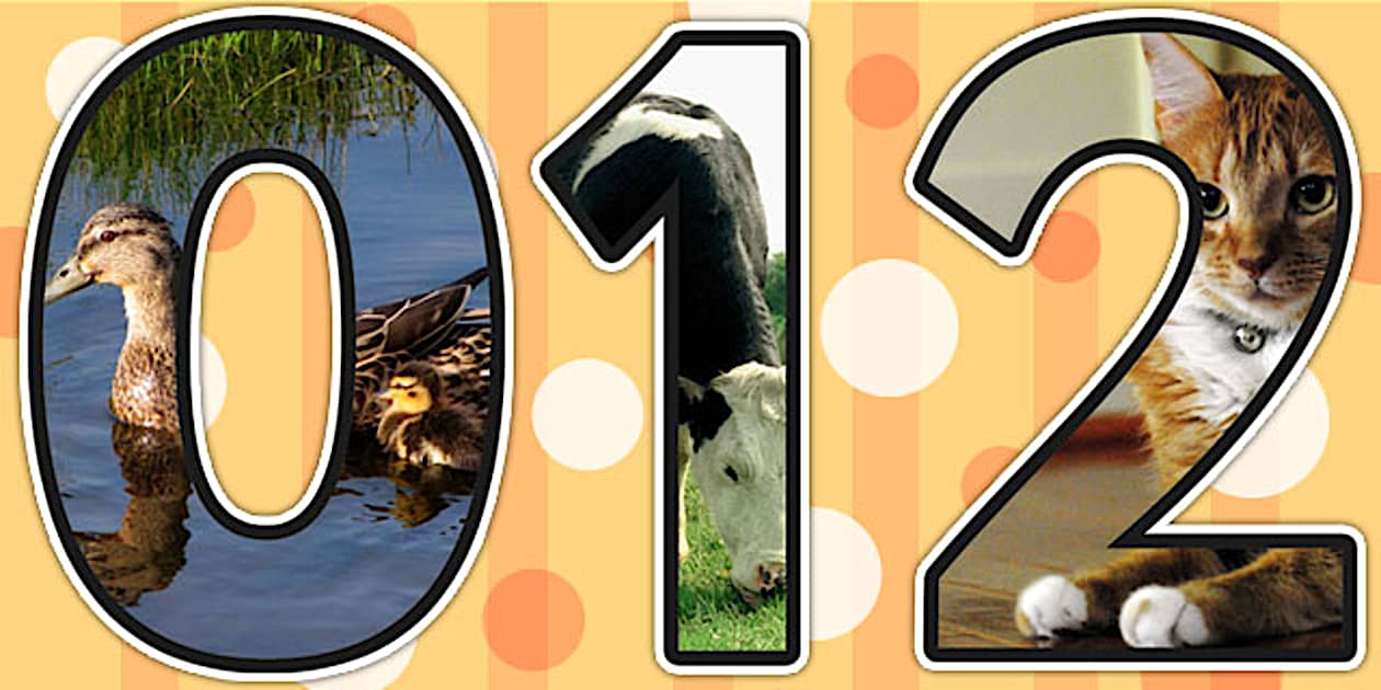 On the Farm Themed Photo Display Numbers - Twinkl