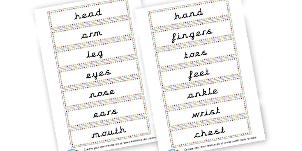 My Body labels (teacher made) - Twinkl