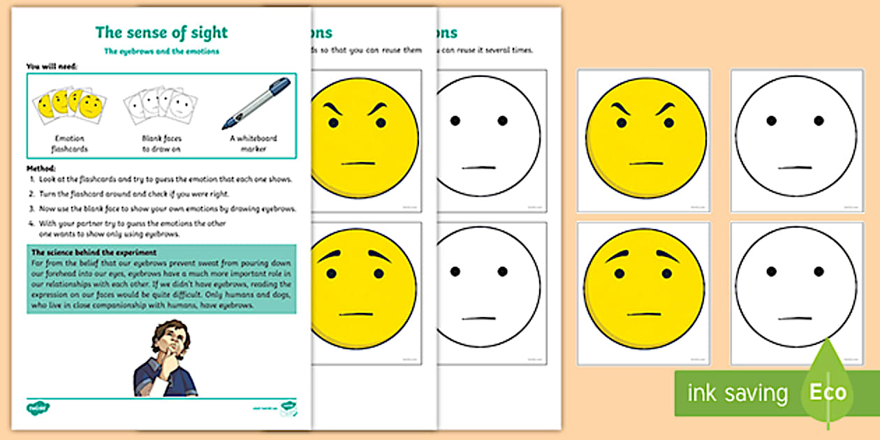 Eyebrows and our Emotions Science Experiment (teacher made)