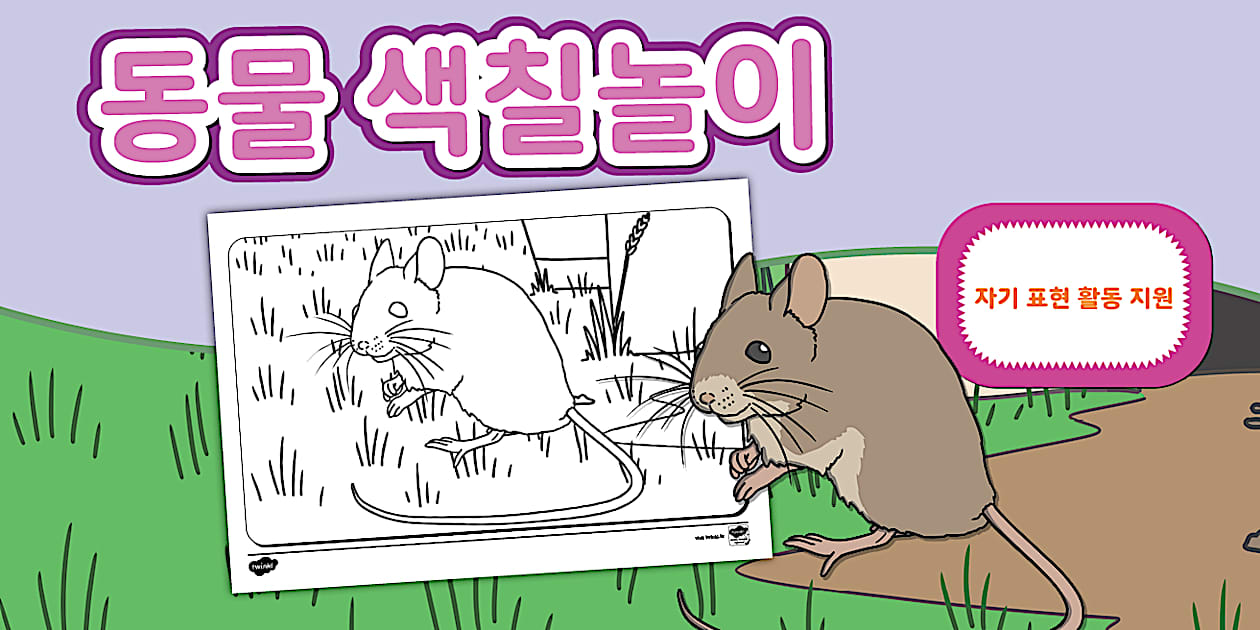 동물 색칠놀이 | Mouse Coloring Sheet - Twinkl