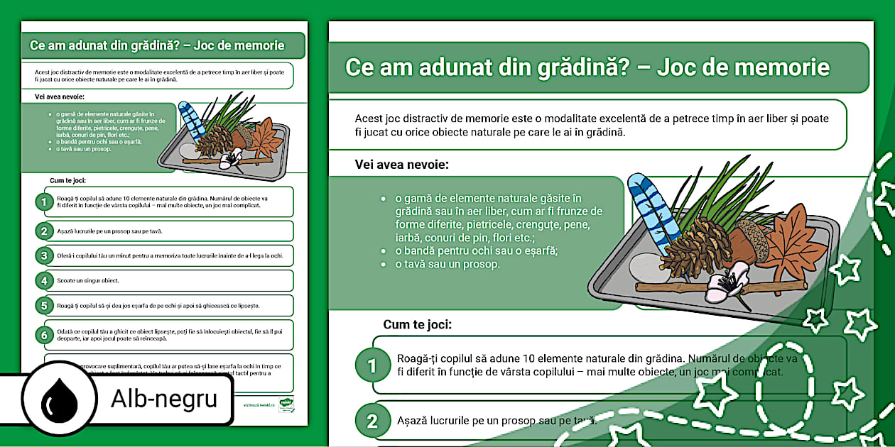 Ce am adunat din grădină? – Joc de memorie - Twinkl