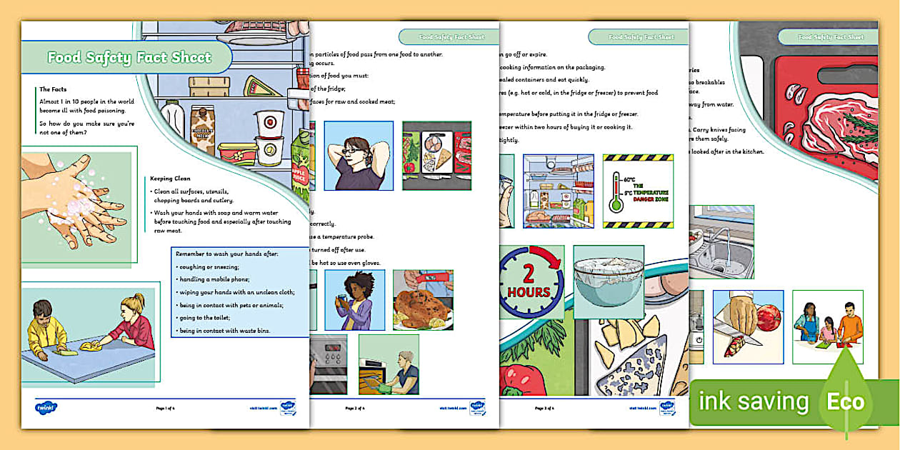 Food Safety Fact Sheet (teacher made) - Twinkl
