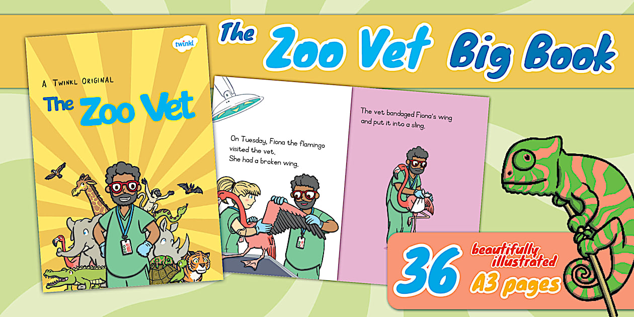 The Zoo Vet - Big Book