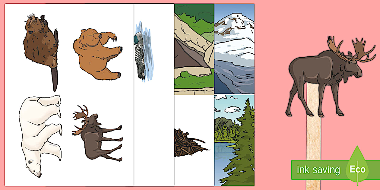 Canadian Animal Stick Puppets (Hecho por educadores)