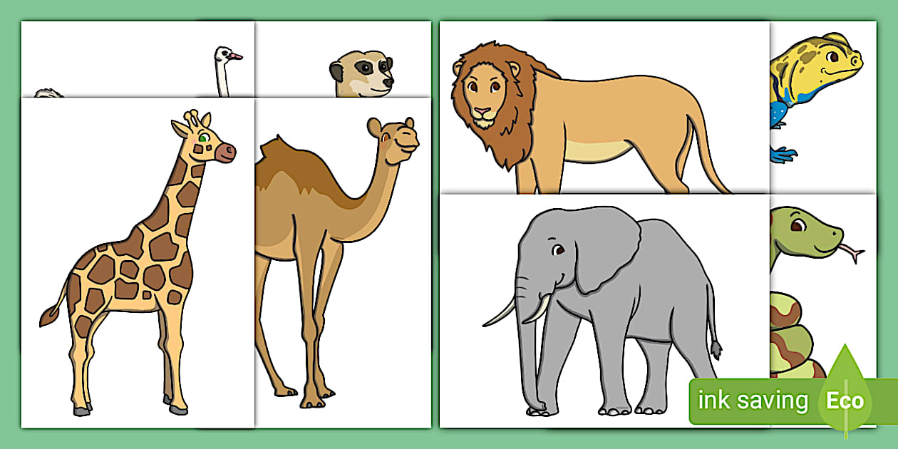Animals from African Countries A4 Cut-Outs | Twinkl