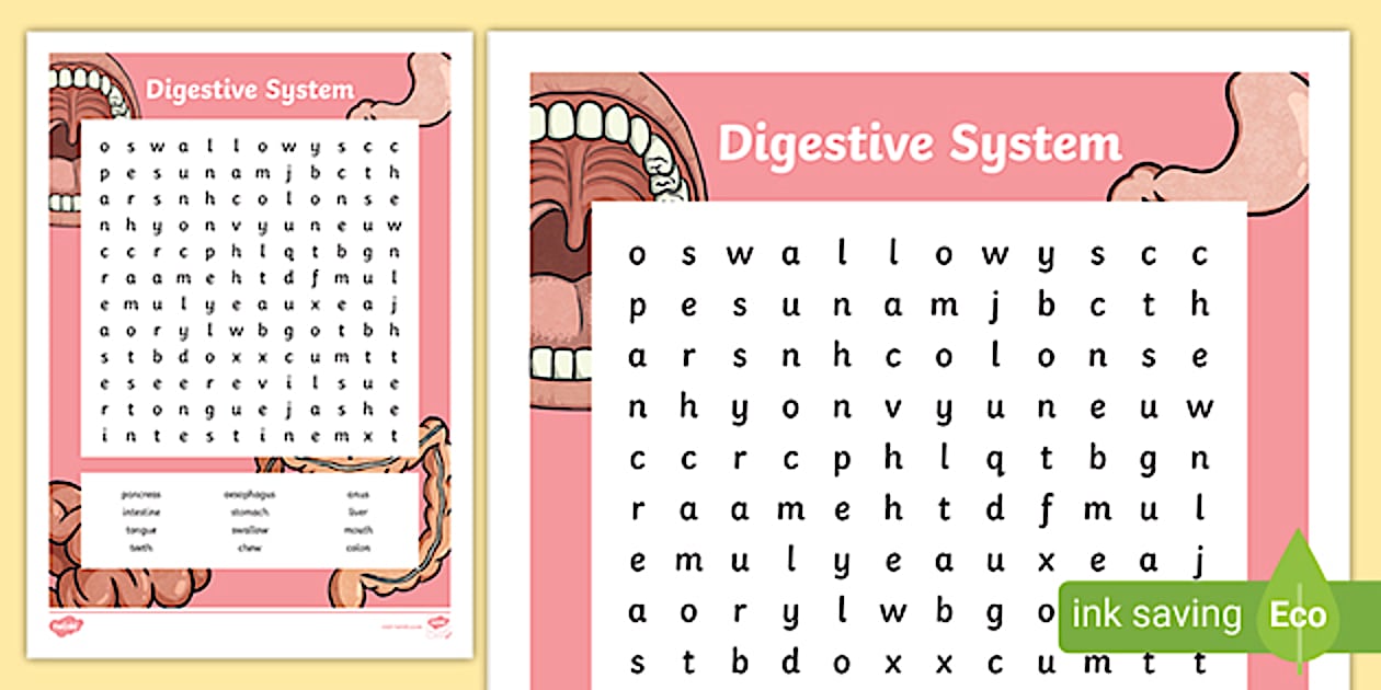 Digestion Word Search | Digestive System | KS2 | Twinkl