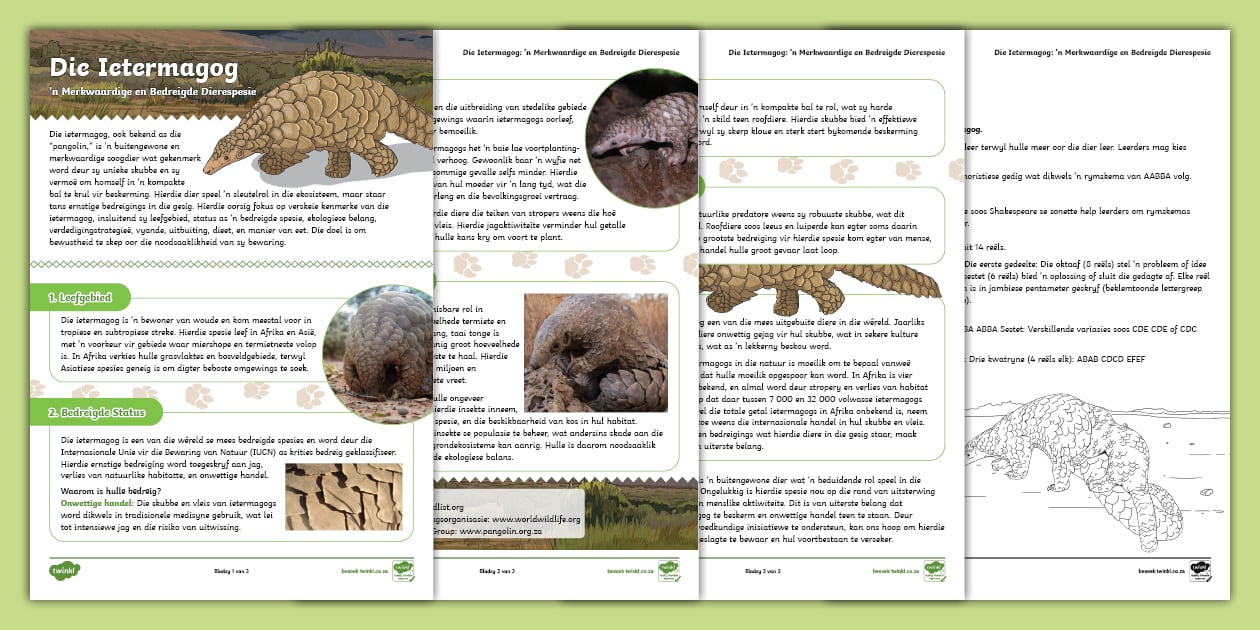 Die Ietermagog: 'n Merkwaardige en Bedreigde Dierespesie Gedigte Aktiwiteit