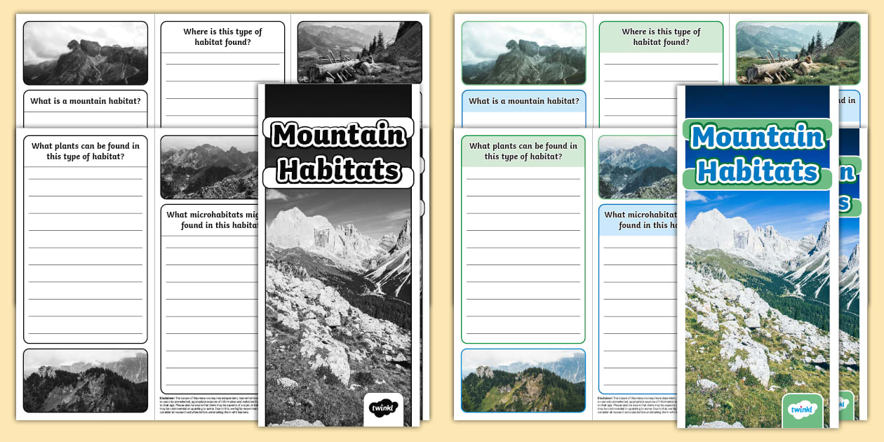 Mountain Habitats Leaflet Template (teacher made) - Twinkl