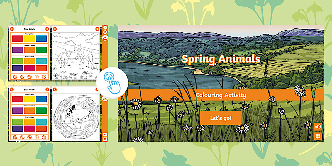 Spring Animals Interactive Colouring (teacher made) - Twinkl