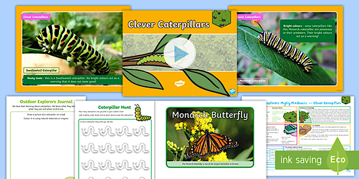 Outdoor Explorers - EYFS - Summer Clever Caterpillars Lesson