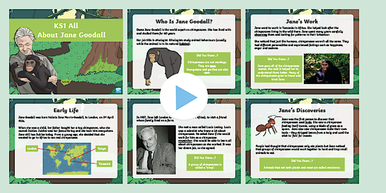 KS1 All About Jane Goodall PowerPoint - Twinkl