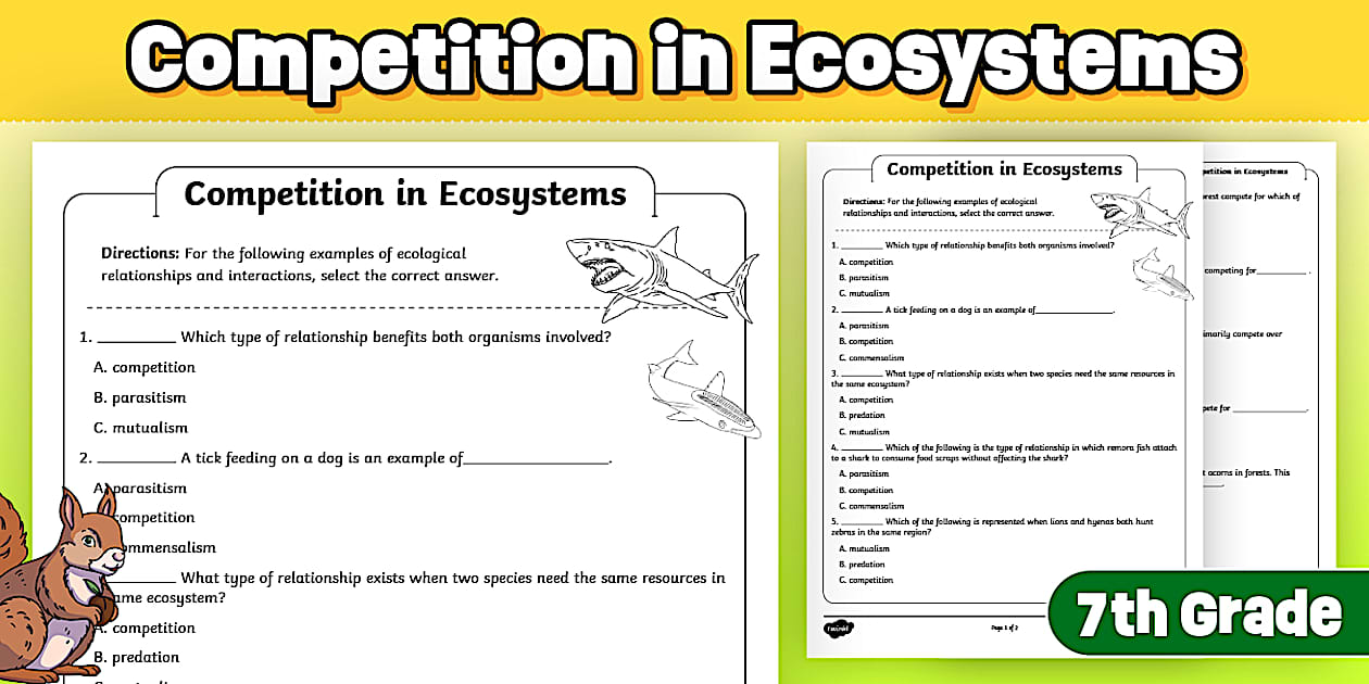 Seventh Grade Competition in Ecosystems Worksheet