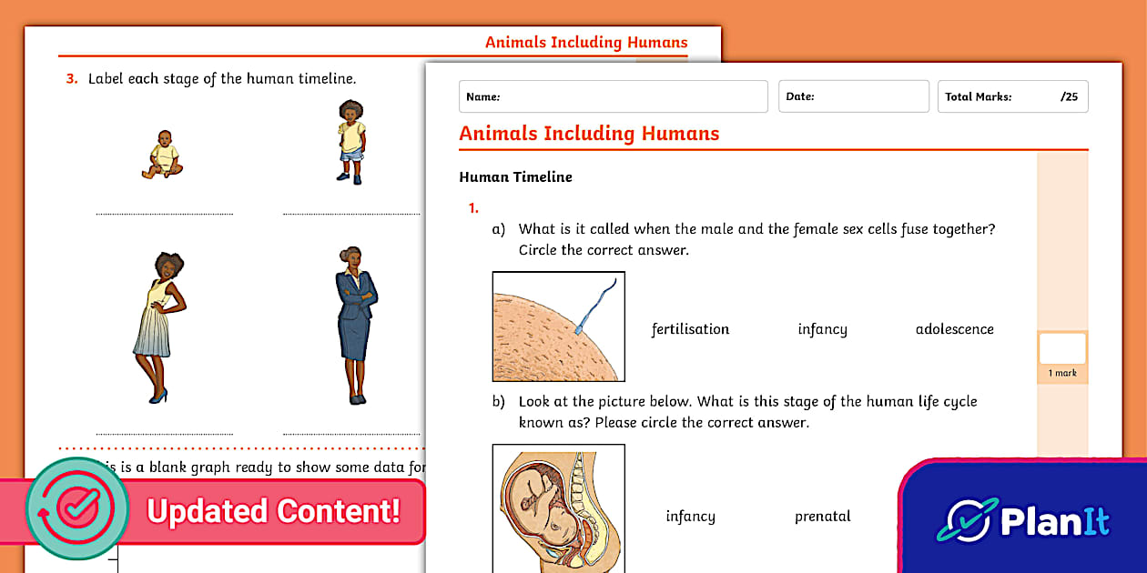 Science: Animals Including Humans: Year 5 Assessment Test