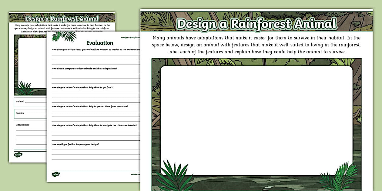Design a Rainforest Animal Worksheet (Teacher-Made) - Twinkl