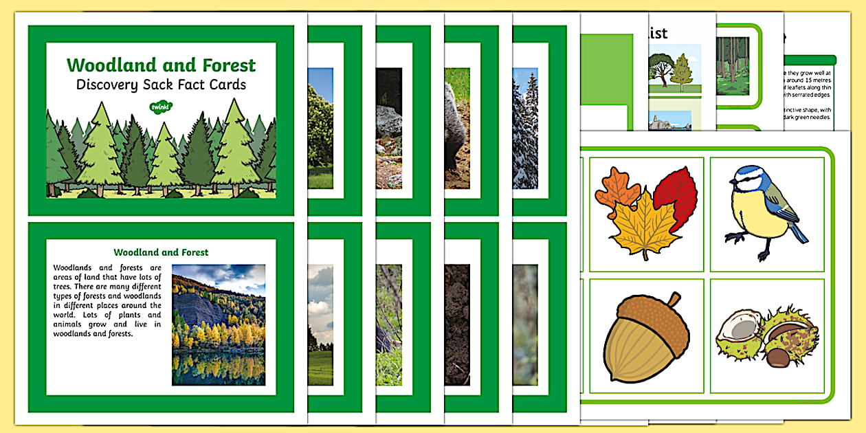 EYFS Woodland and Forests Discovery Pack (teacher made)