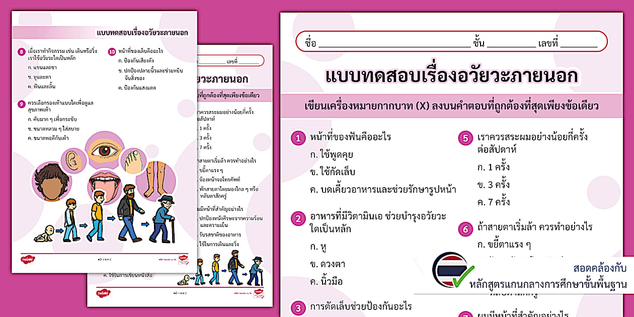 แบบทดสอบเรื่องอวัยวะภายนอก