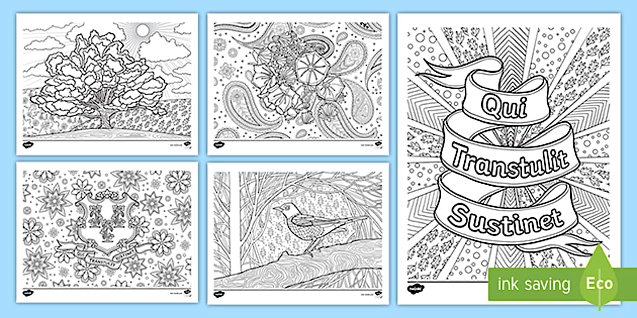 Connecticut State Symbols Mindfulness Coloring Sheets