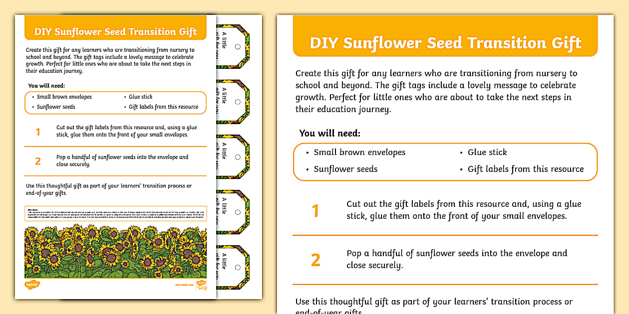 DIY Sunflower Transition Gift (Teacher-Made) - Twinkl