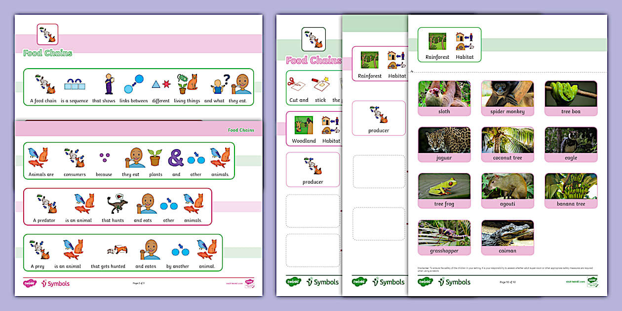 Twinkl Symbols: Science: Year 4: Food Chains - Twinkl