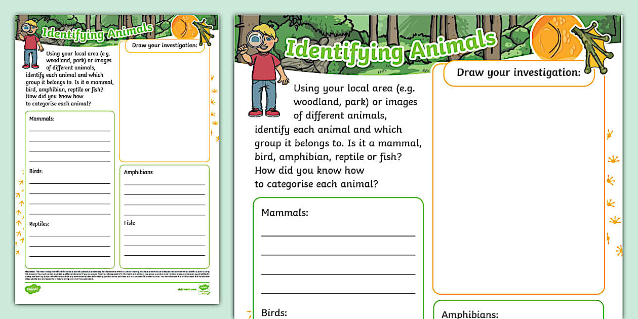 Identifying Animals Investigation Worksheet (teacher made)