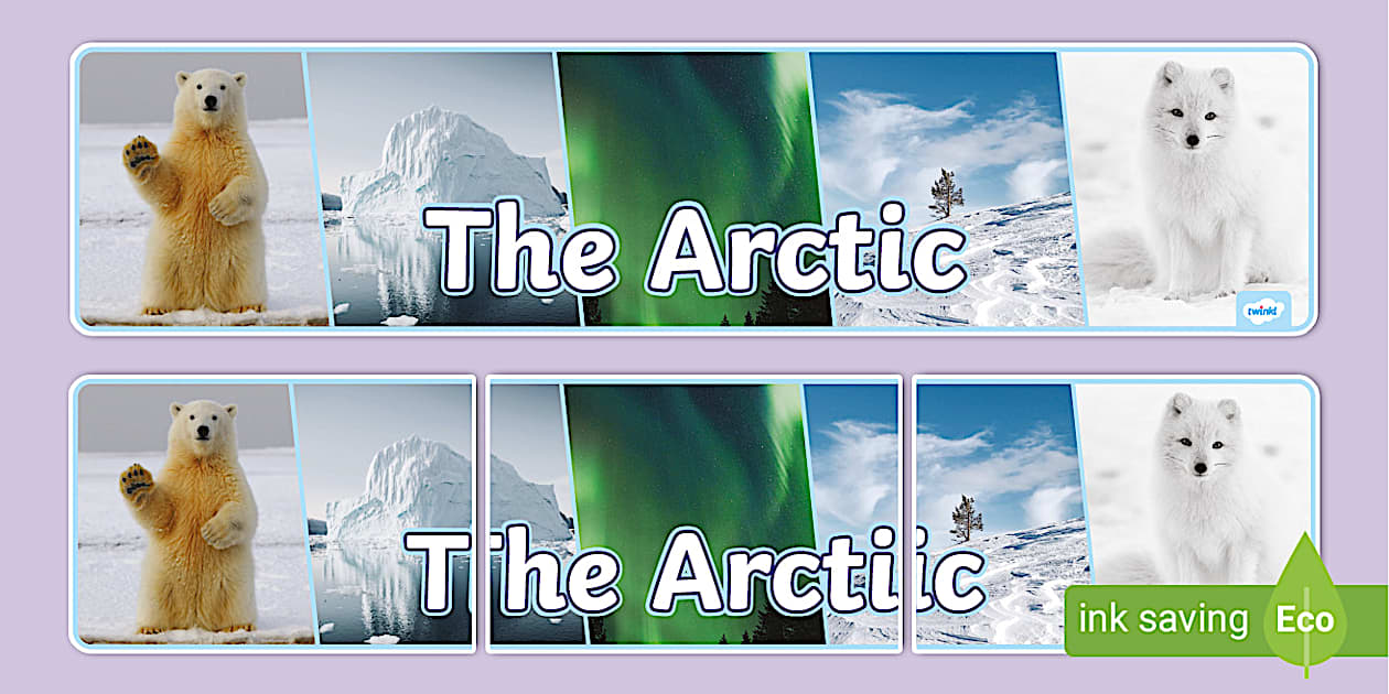 The Arctic Photo Display Banner (teacher made) - Twinkl