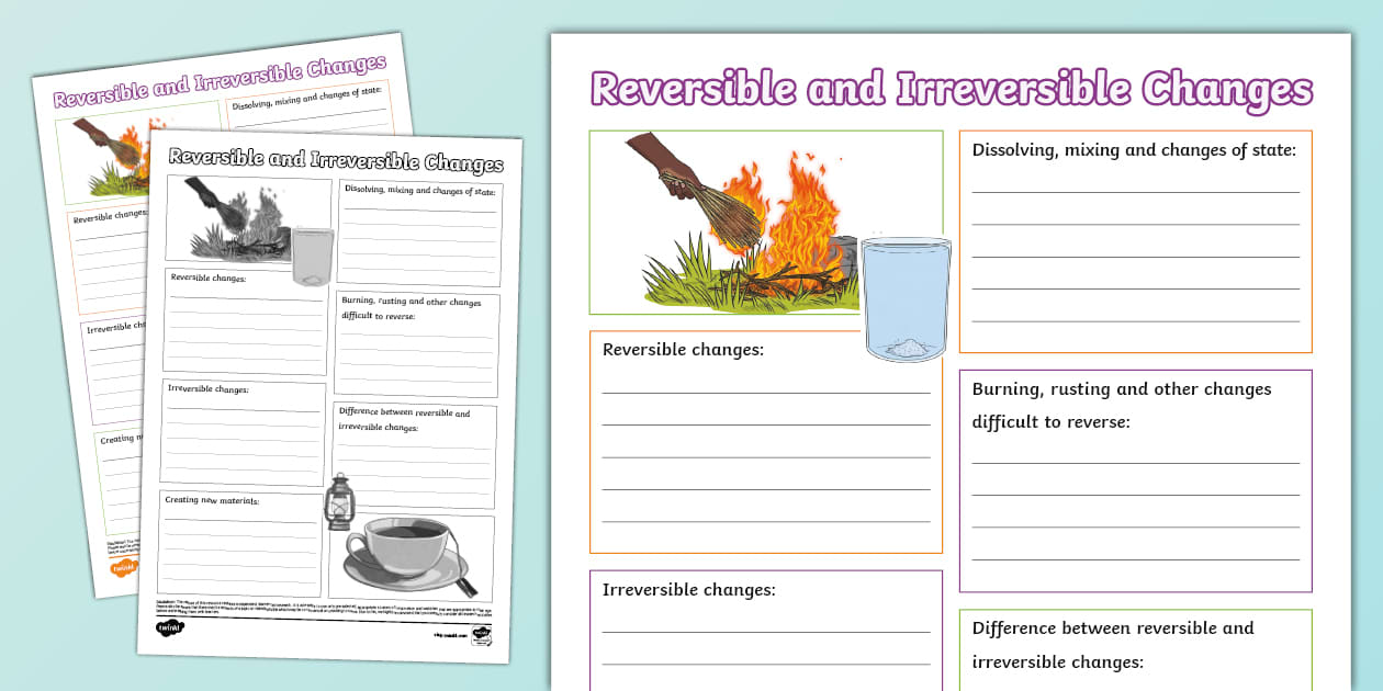 Reversible and Irreversible Changes Fact File Template