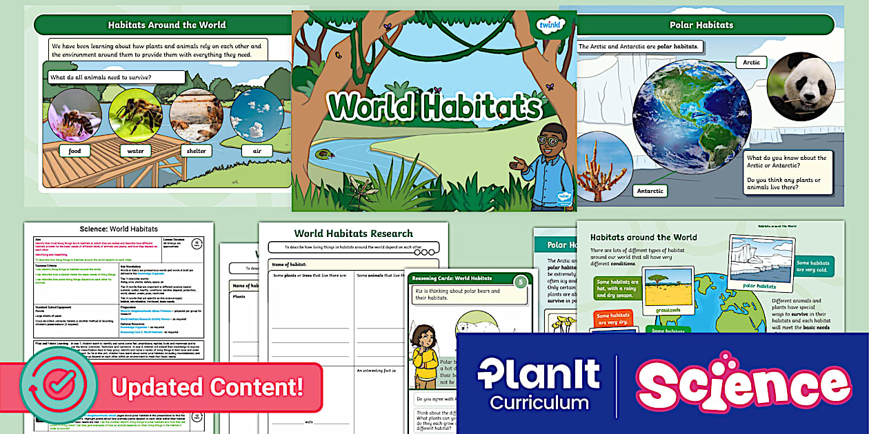 Rainforest Habitat KS1 | Ocean Habitat Year 2 | Lesson Plan