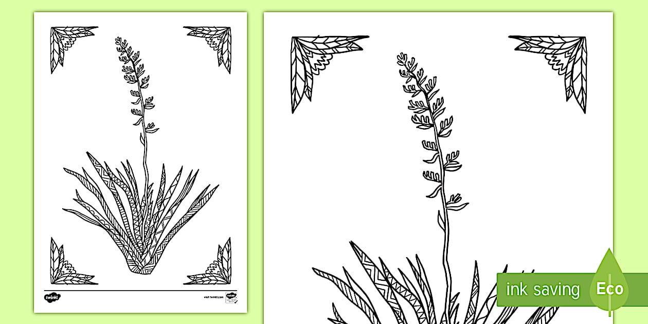 Flax Harakeke Mindfulness Colouring Page - New Zealand Mindfulness