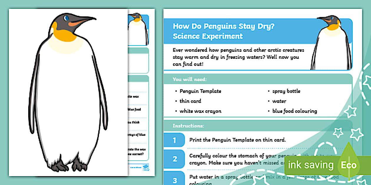 How Do Penguins Stay Dry? Science Experiment - Twinkl