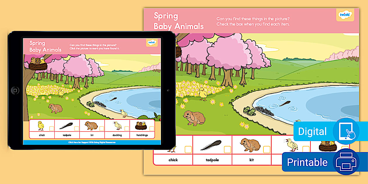 Spring Baby Animals Can You Find? Picture Activity - Twinkl