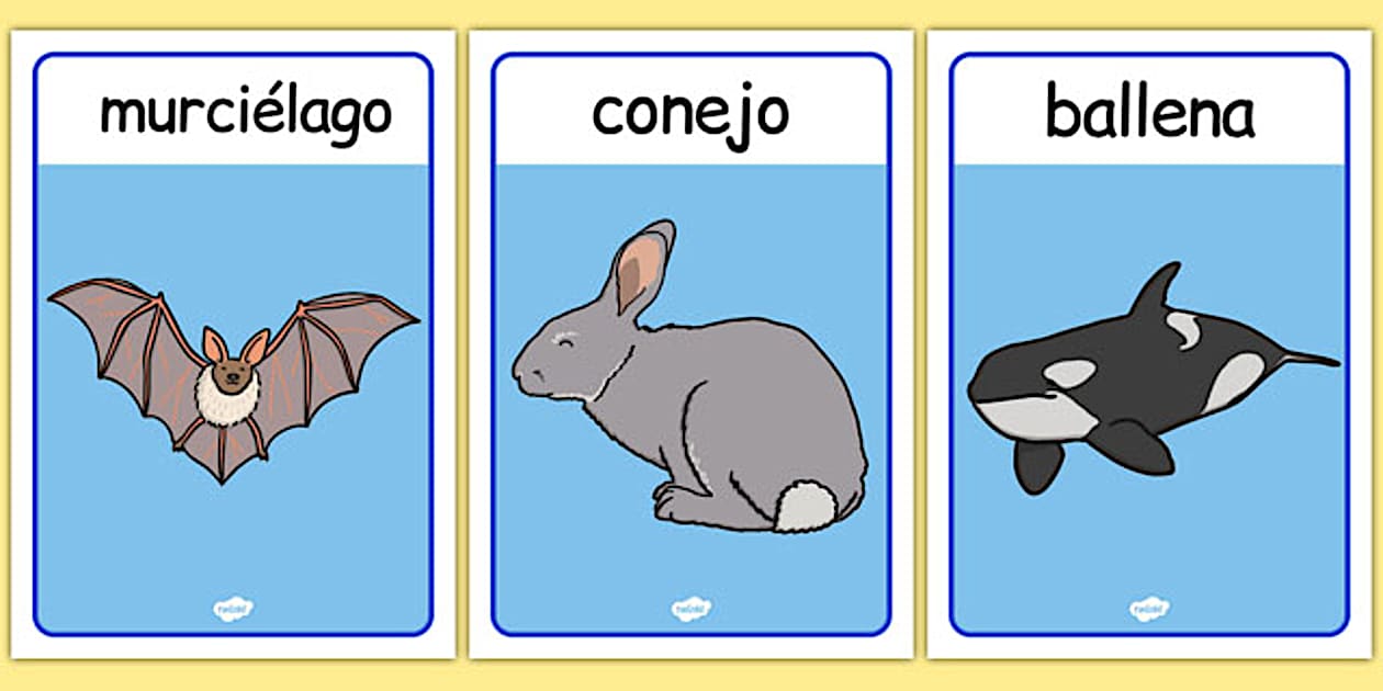 Spanish Animals Posters | Twinkl Primary Resources - Twinkl