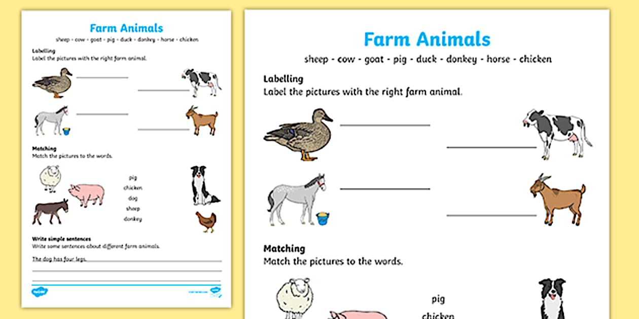 Farm Animals Worksheets for Kids (teacher made) - Twinkl