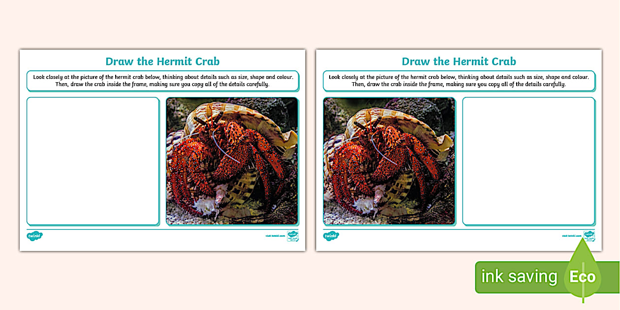Draw the Hermit Crab Art Activity (teacher made) - Twinkl