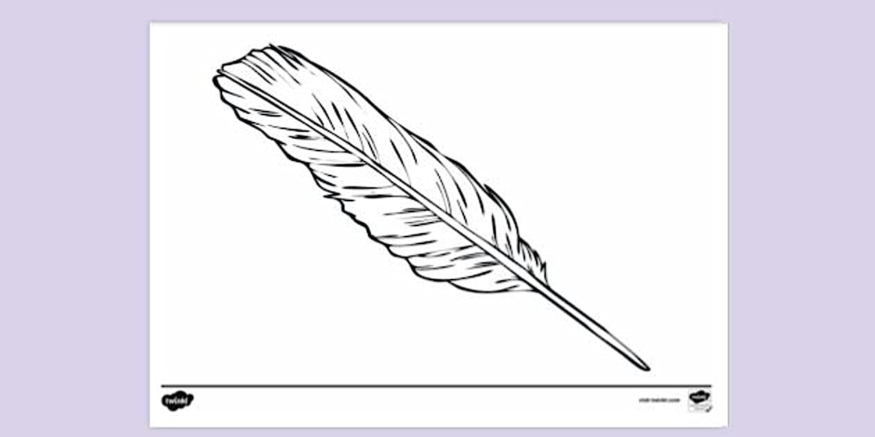 Printable Feather Colouring Page (Teacher-Made) - Twinkl