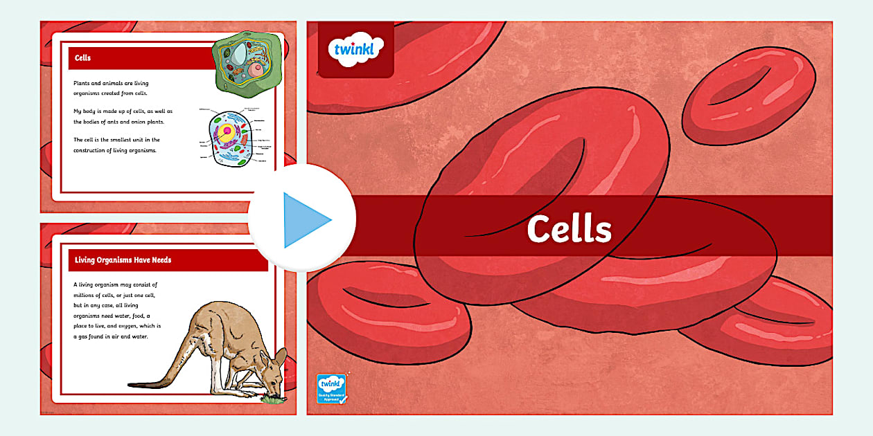 Cells PowerPoint (teacher made) - Twinkl