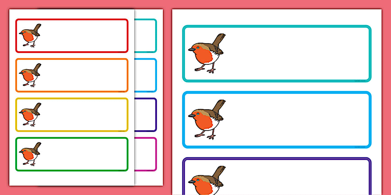 👉 Editable Drawer - Peg - Name Labels (Robins) - Twinkl