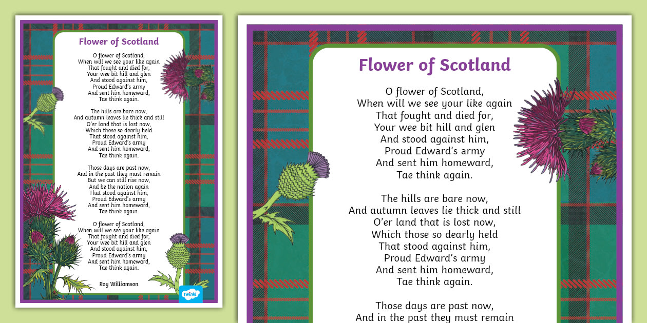 Flower of Scotland Lyrics Display Poster - Twinkl