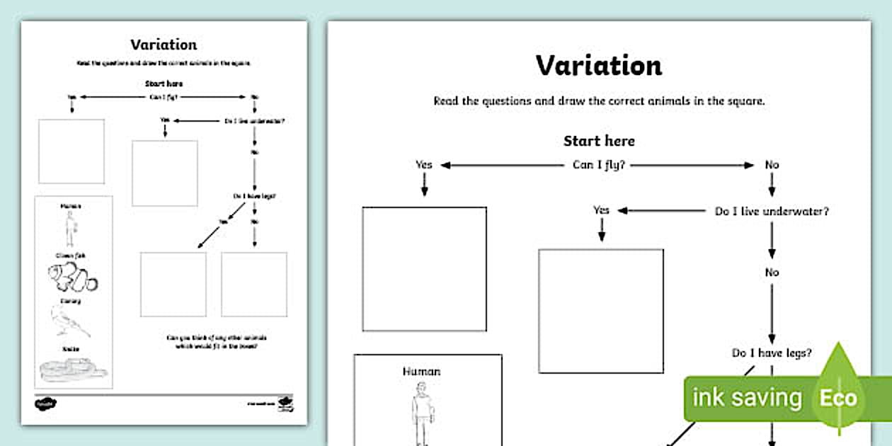 Variation Worksheet (Teacher-Made) - Twinkl