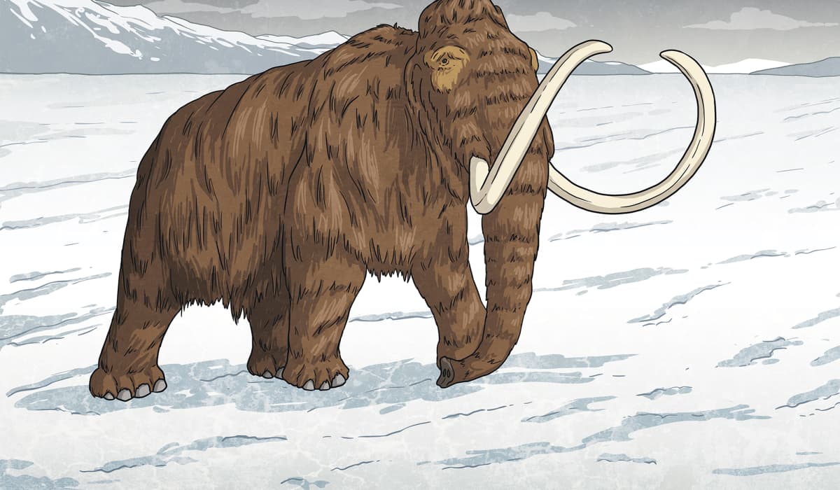 'Mammoth' Journey - Twinkl NewsRoom - Twinkl