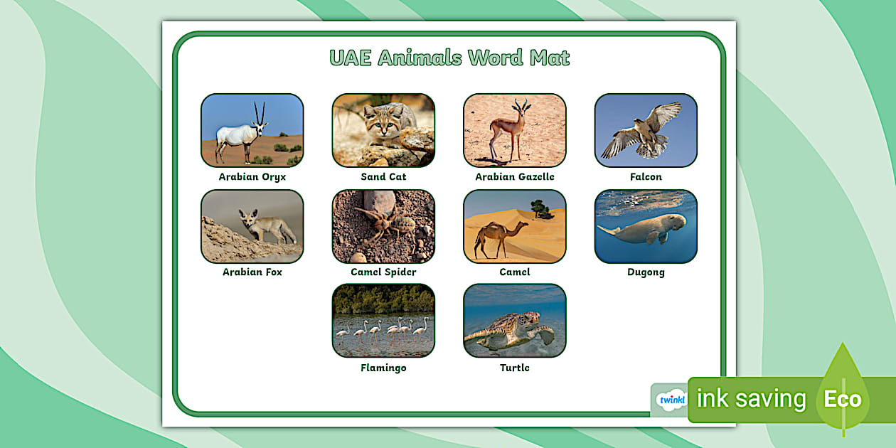 UAE Animals Word Mat (Teacher-Made) - Twinkl