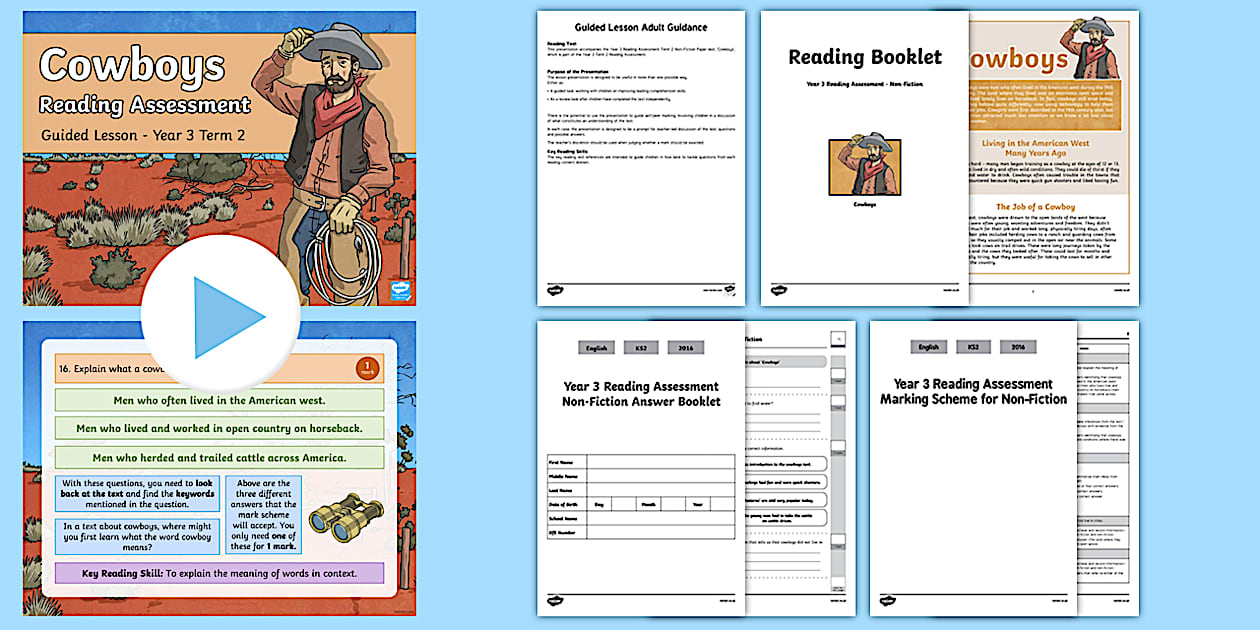 Year 3 Term 2 Non-Fiction Reading Assessment Guided Lesson Teaching Pack