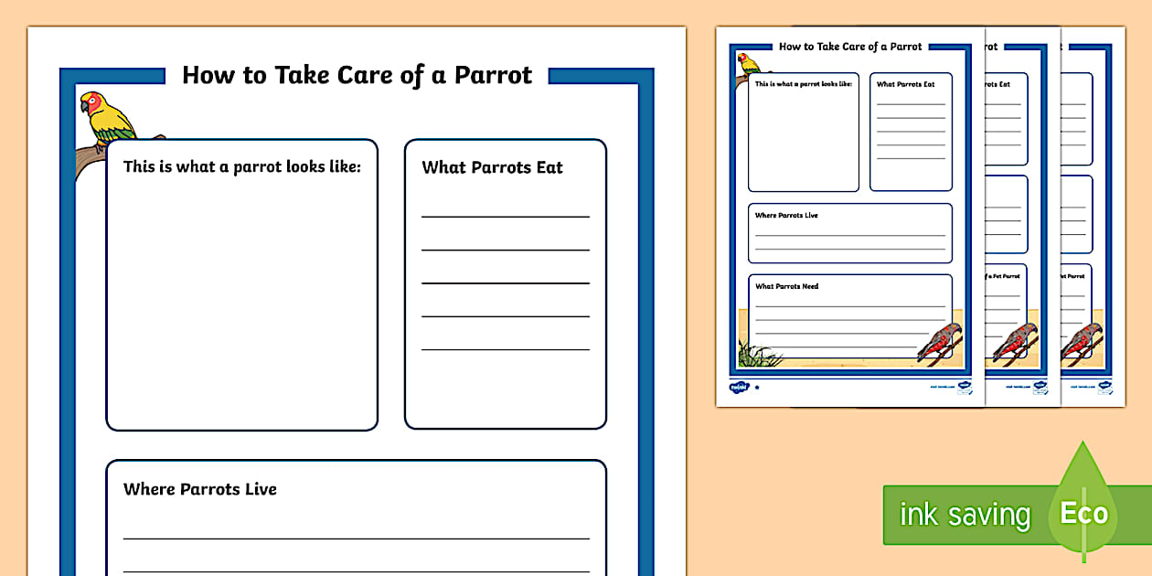 Editable How To Take Care of a Parrot Fact File - Twinkl