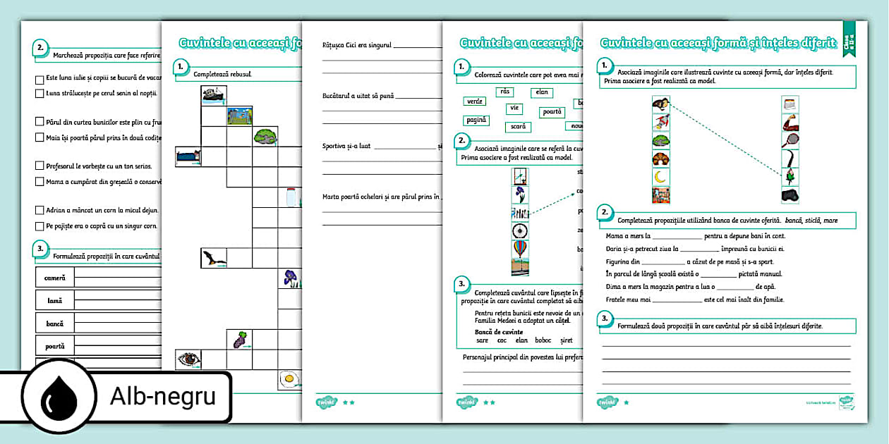 Cuvintele cu aceeași formă și înțeles diferit – Fișă clasa 2